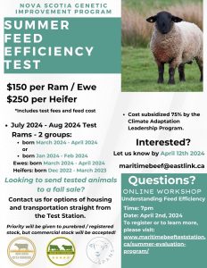 Summer Feed Efficiency Test – Nova Scotia Cattle Producers